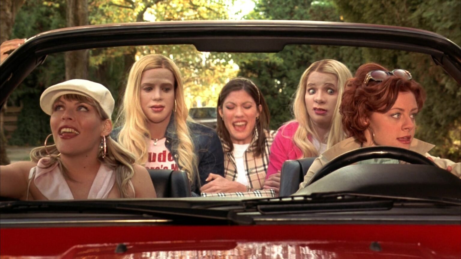 White Chicks (2004) Plot, Story & Ending Explained